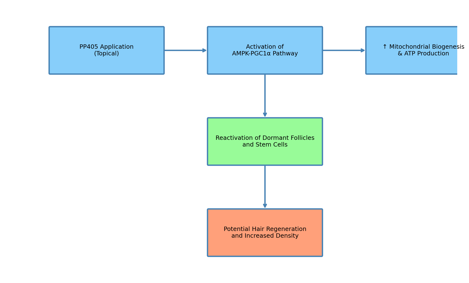 News: Could PP405 Be The CURE We've Been Waiting For?